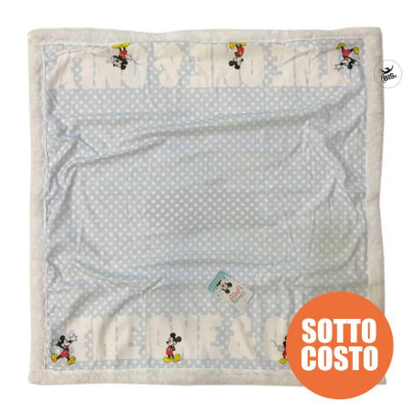Disney Plaid/Blanket, customizable with name